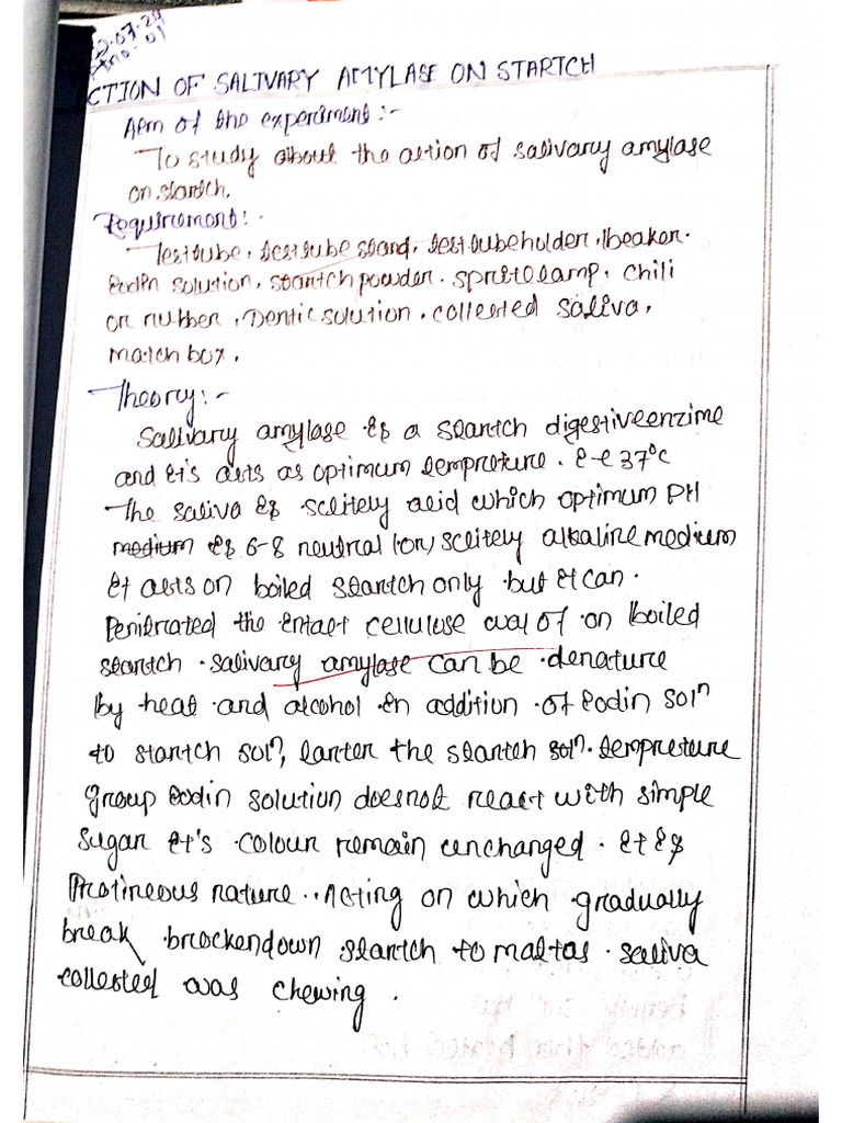 Zoology Practical | PDF