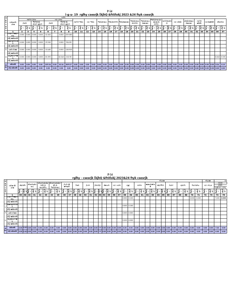 PCN 19 Bemetara Jinswar | PDF