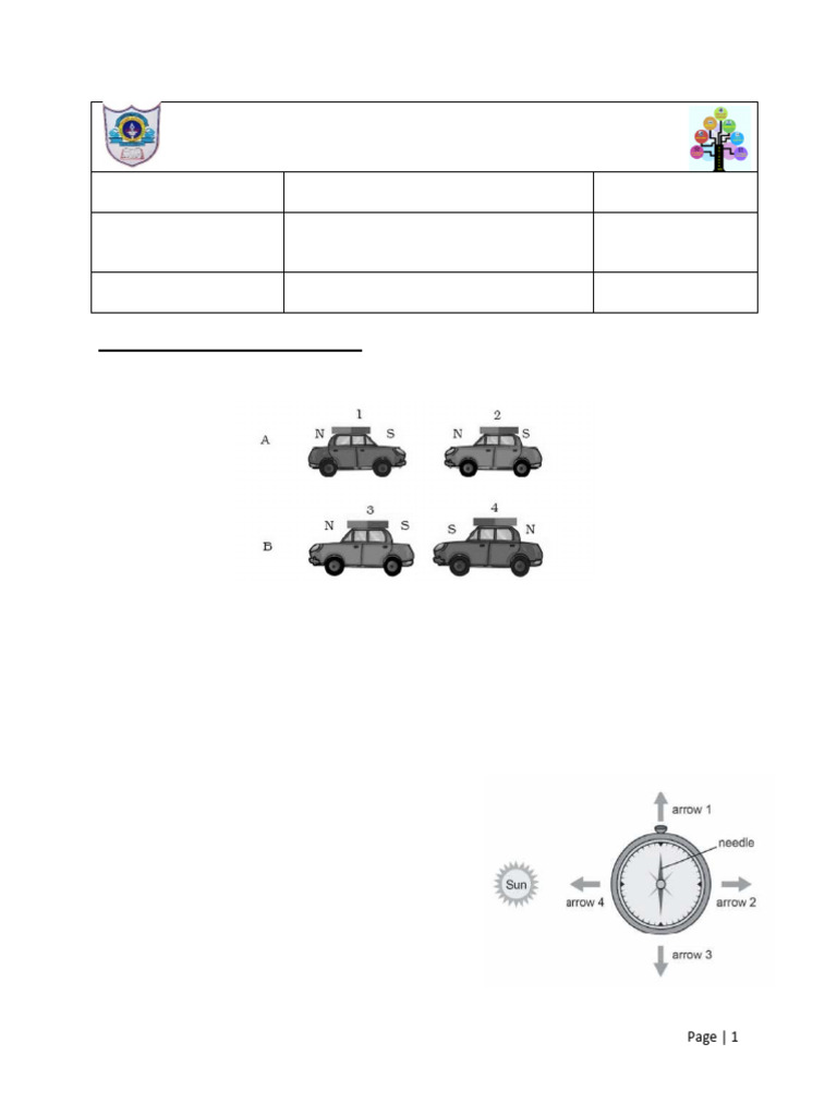 Grade 6 Magnetism Worksheet | PDF | Magnet | Compass