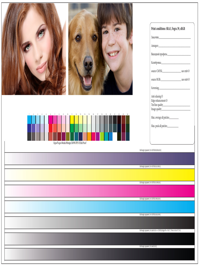 Test_Pages 2013 | PDF | Light | Psychophysics