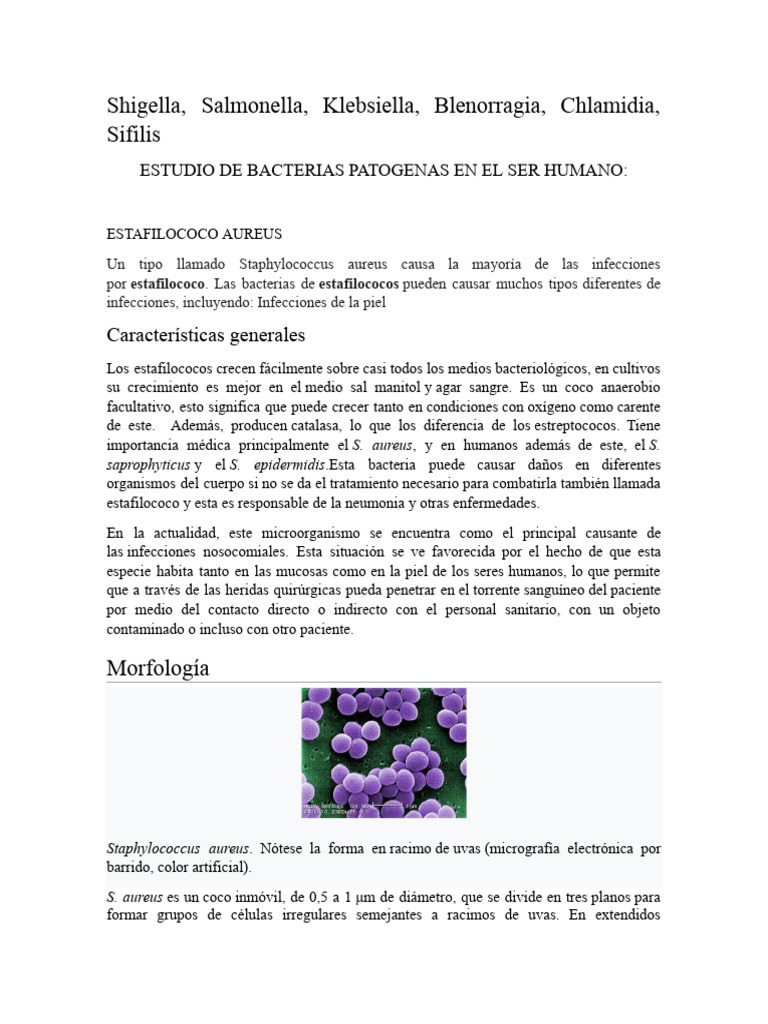Estudio de Bacterias Patogenas en El Ser Humano Parte 1 | PDF ...
