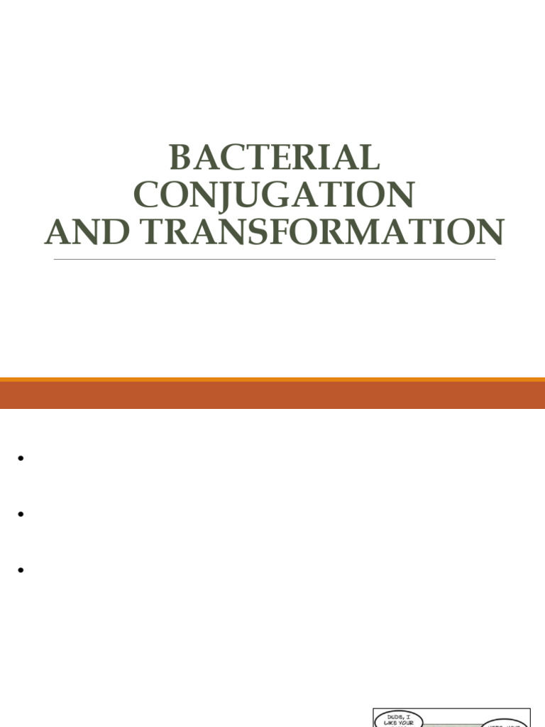 Microbiology 18 - Bacterial Conjugation and transformation | PDF ...