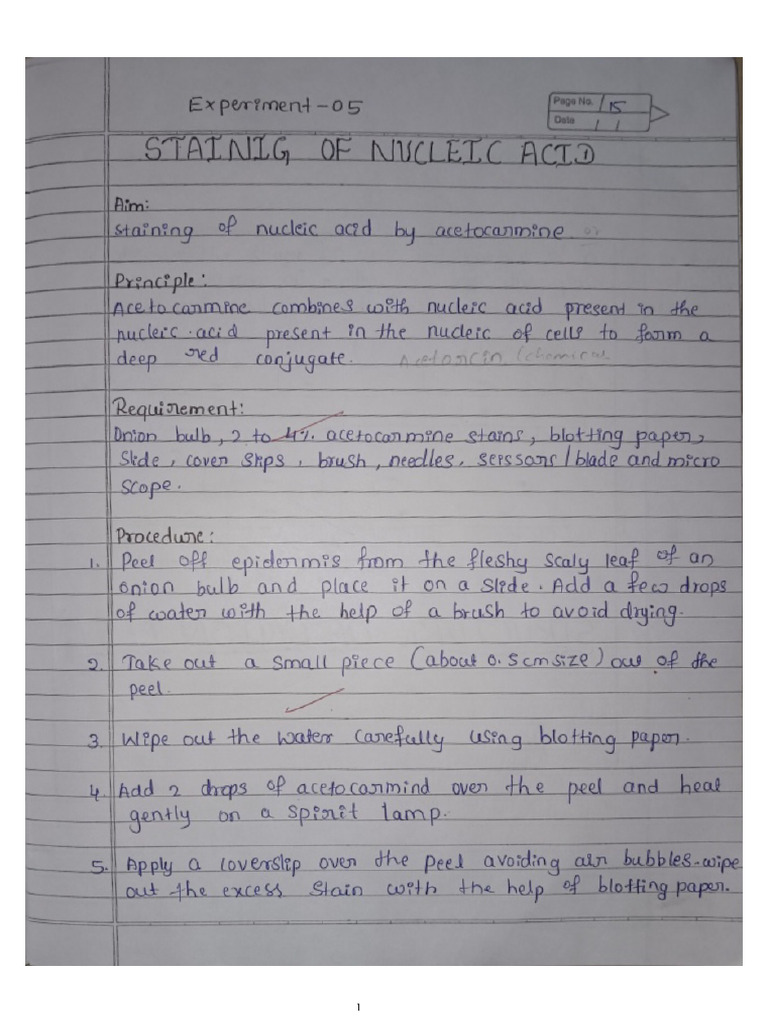 4th Experiment | PDF