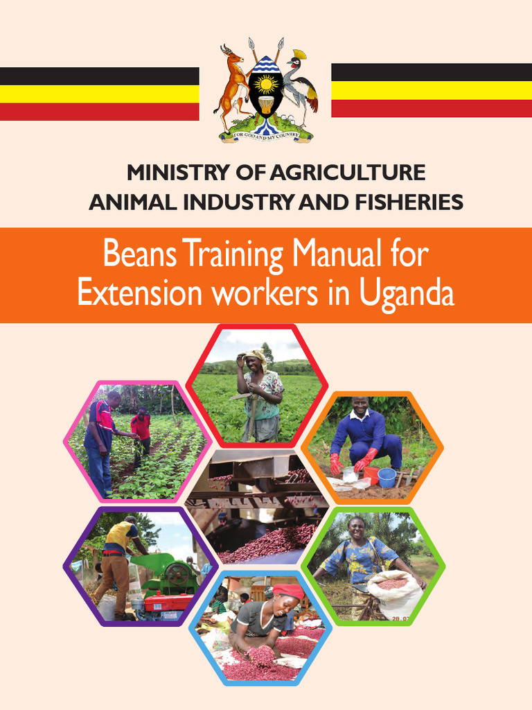 Beans Training Manual For Extension Workers in Uganda | PDF | Plant ...