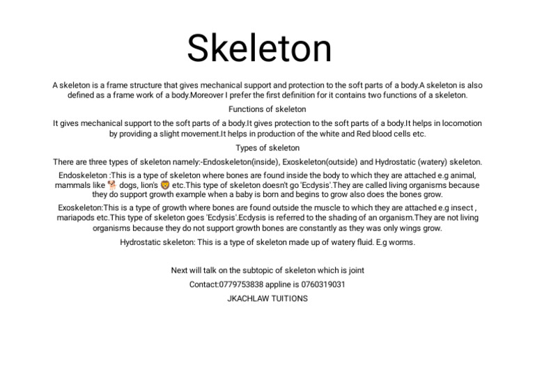 Skeleton | PDF