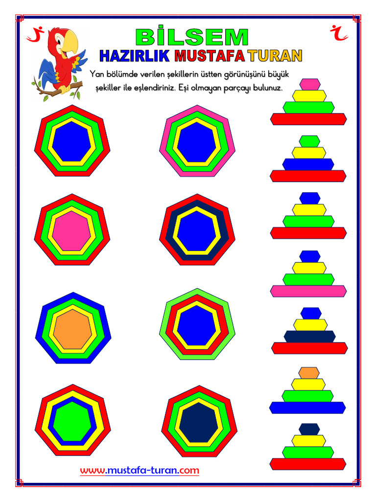 Bilsem Kus Bakisi Gorunus 8 | PDF