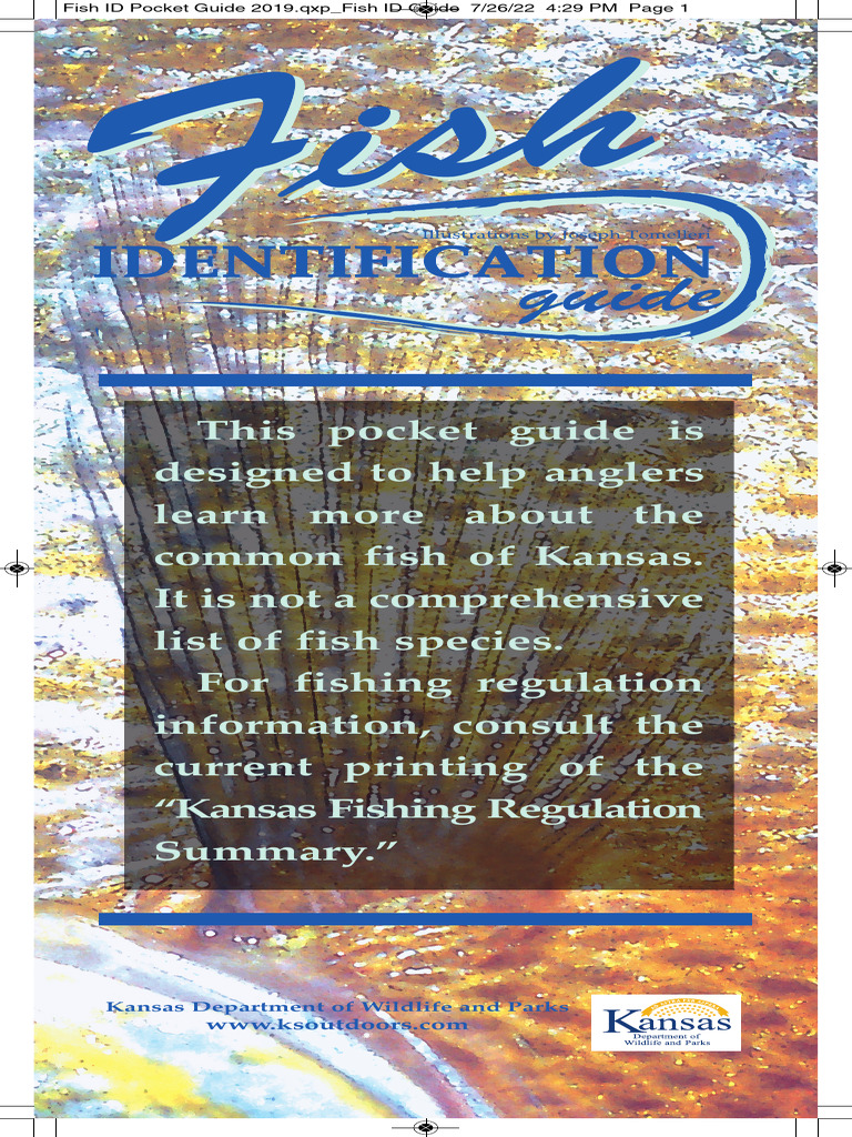 Fish+ID+Pocket+Guide+2022 | PDF | Fish