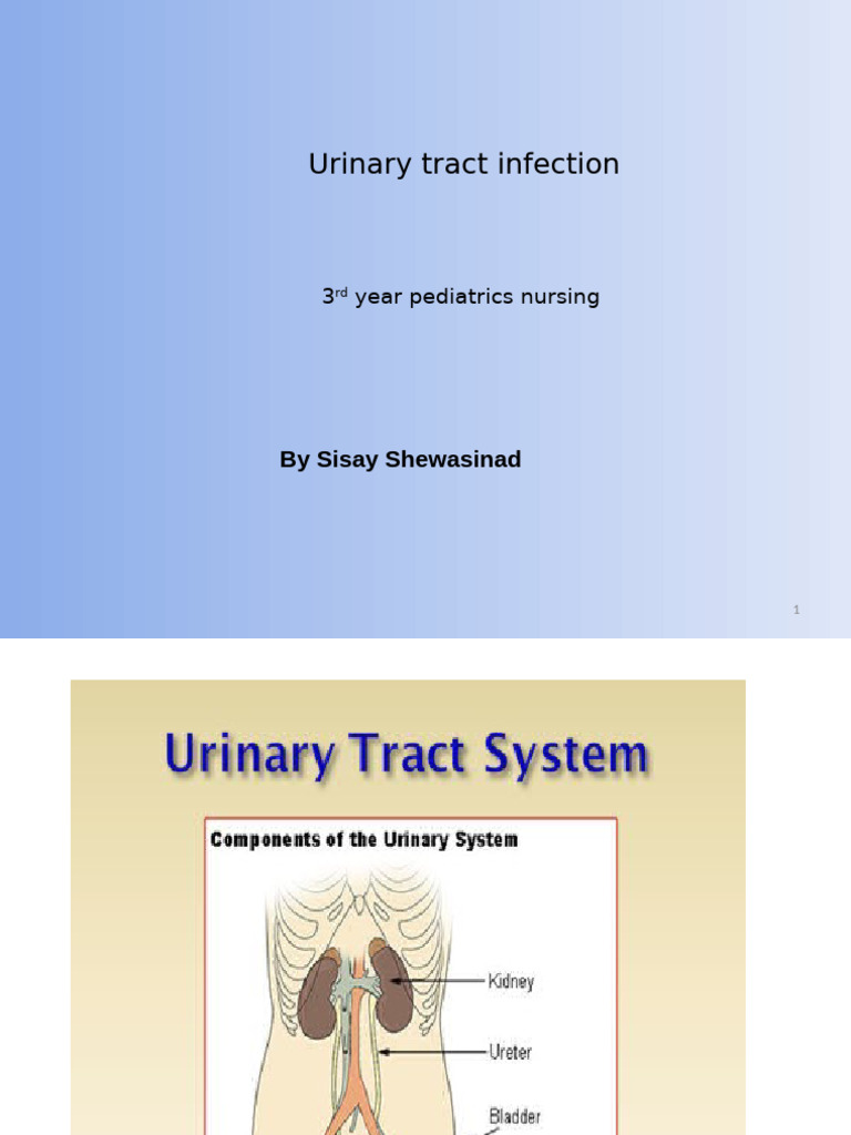 UTI Final For Pediatrics Nursing Students | PDF | Urinary Tract ...