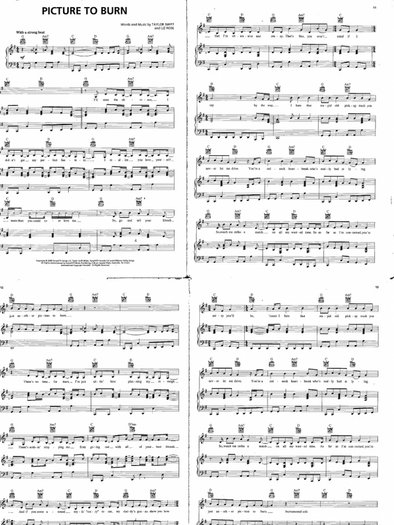 Picture To Burn TS | PDF