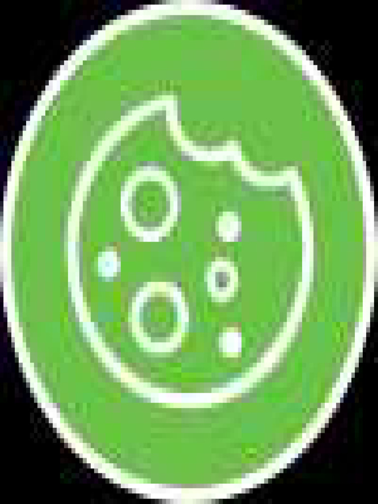 Ot Persistent Cookie | PDF