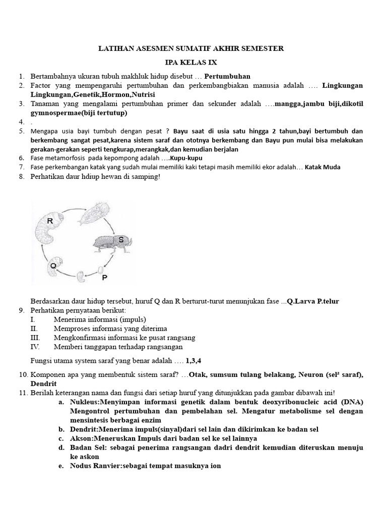 LATIHAN ASAS 2425-2 | PDF
