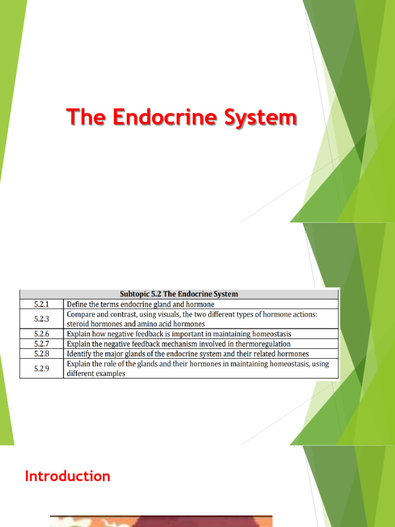 The Endocrine System | PDF | Hormone | Endocrine System