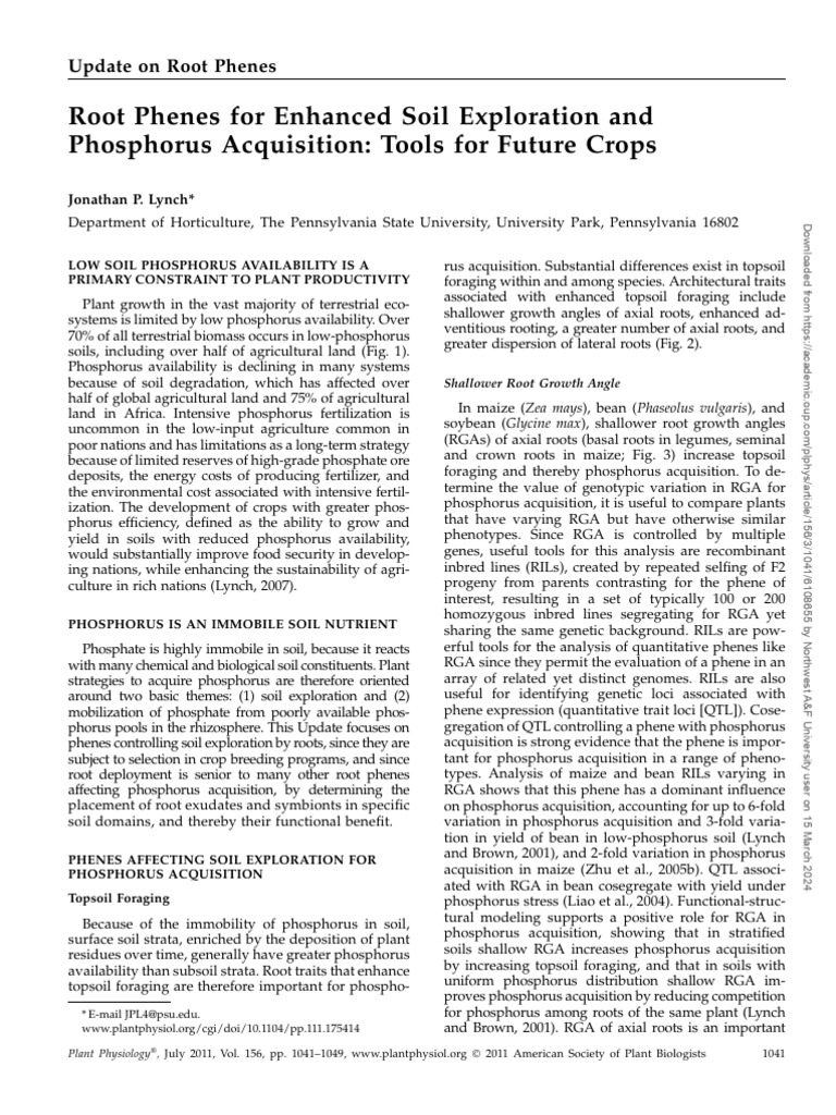 Root Phenes For Enhanced Soil Exploration and Phosphorus Acquisition ...