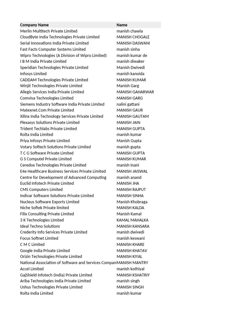 IT Companies Database 2024 Sample | PDF