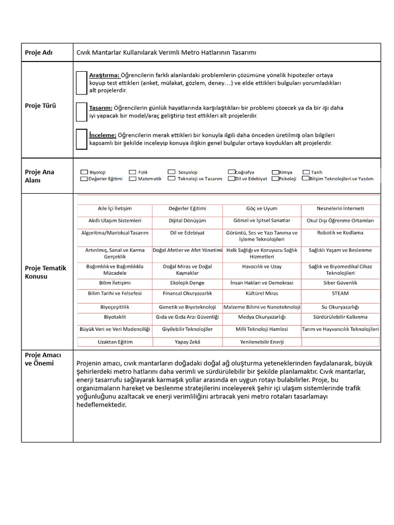 4006 Programı Proje Formu | PDF