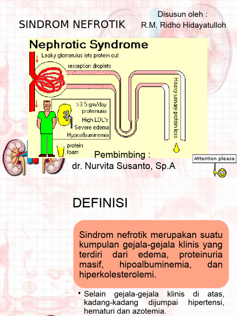 Sindrom Nefrotik 2 | PDF