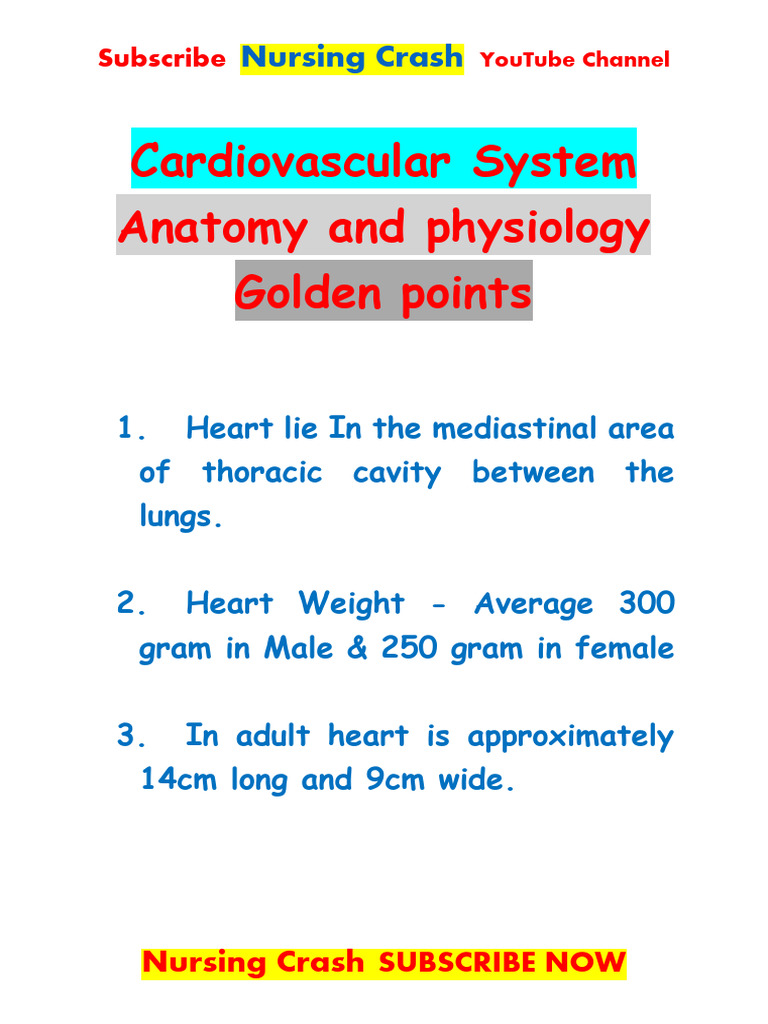 Golden Points 1 Cardiac Ana Physiology | PDF | Heart Valve | Heart