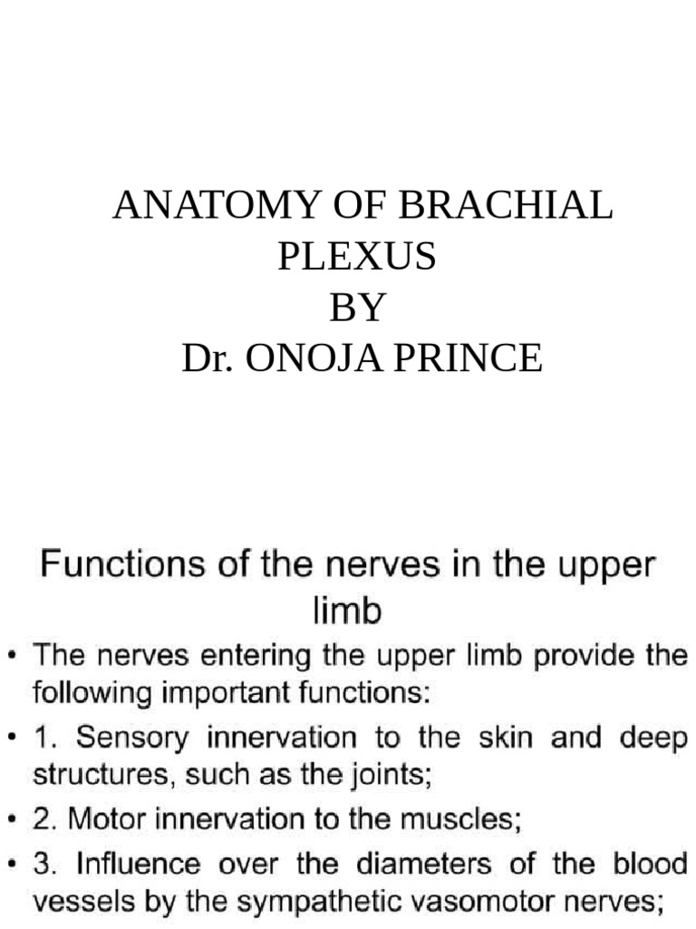 Brachial Plexus | PDF