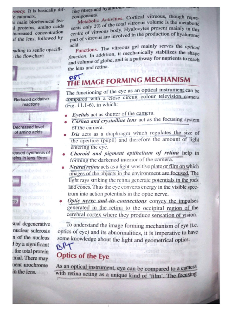 Parts of Eyes and Mechanism of Image Formation | PDF