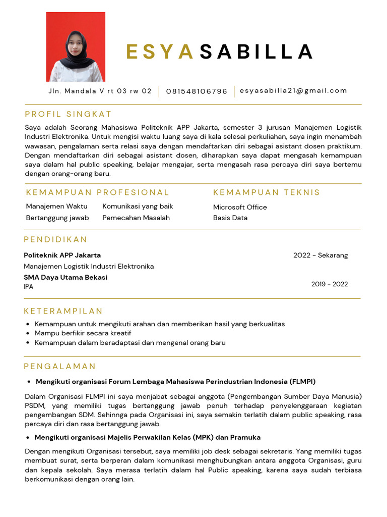 White Gold Elegant Minimalist Data Analyst Resume CV A4 Printable | PDF