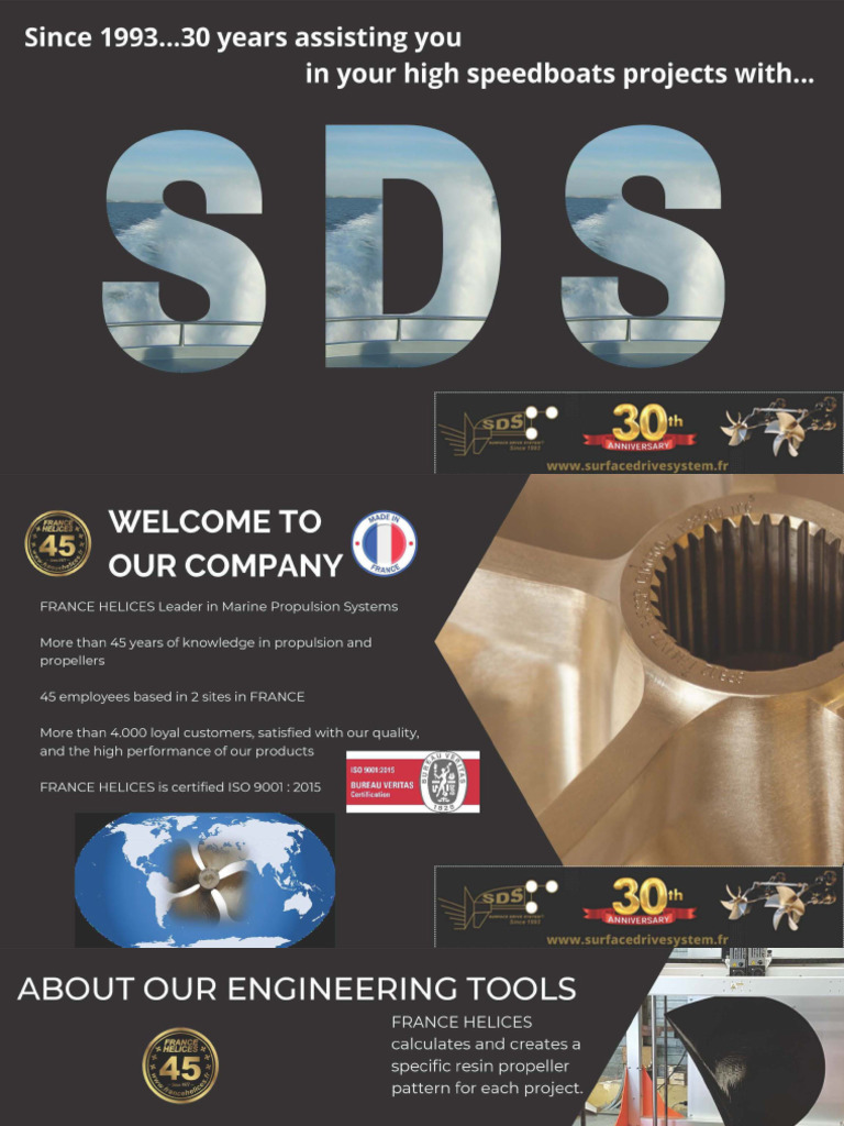 Sds Presentation 2024 | PDF