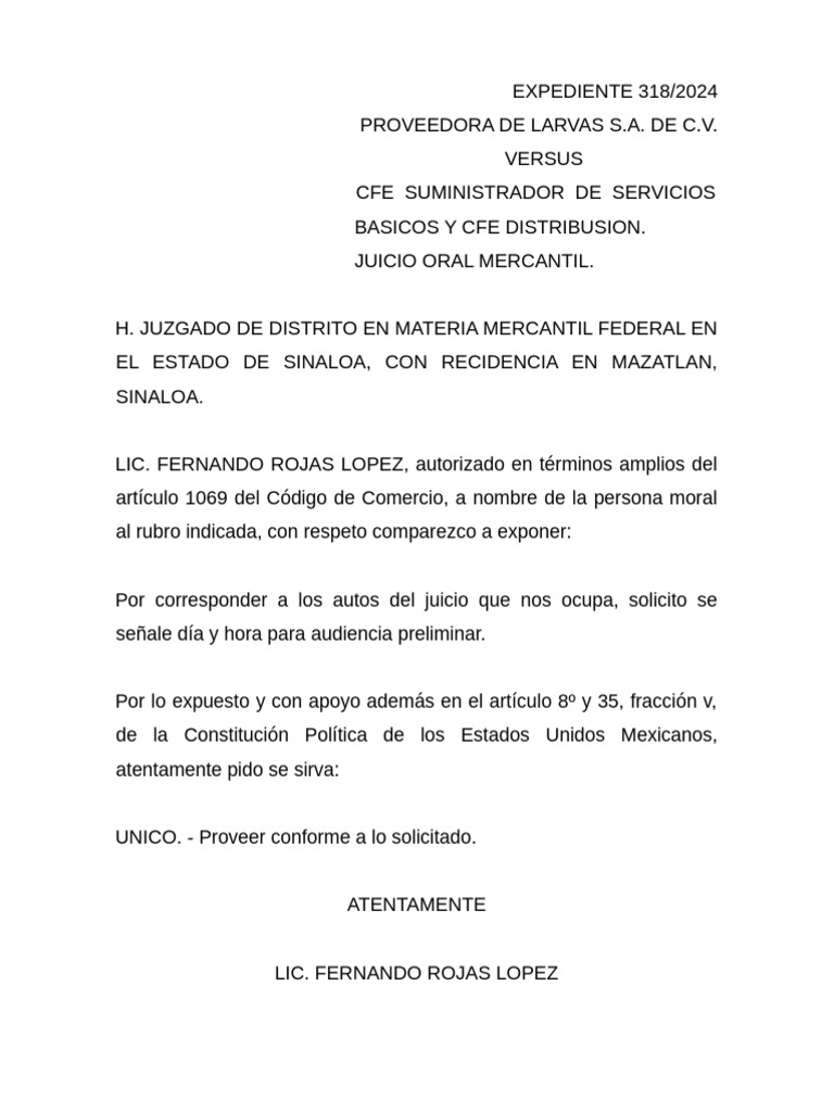 SOLICITUD DE AUDIENCIA PRELIMINAR | PDF