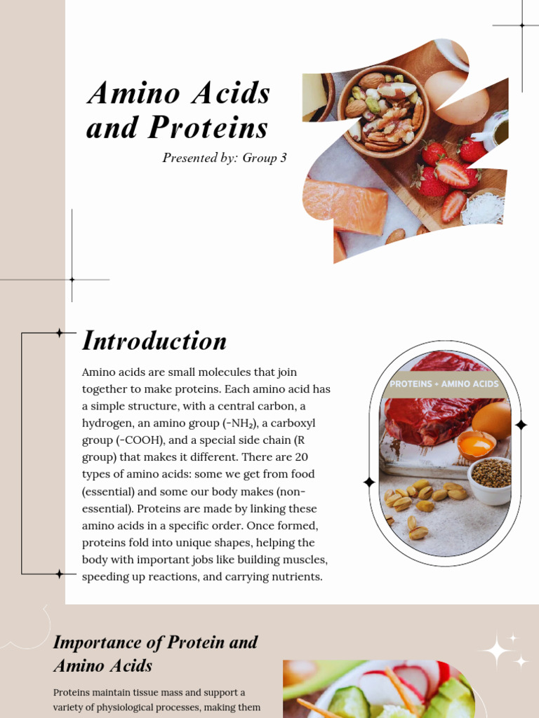 Group 3 Presentation | PDF | Protein Structure | Proteins