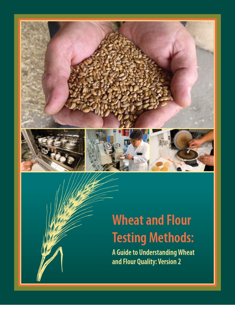 Wheat Flour | PDF | Weighing Scale | Wheat
