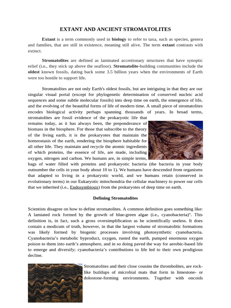 Extant and Ancient Stromatolites | PDF | Nature | Biology