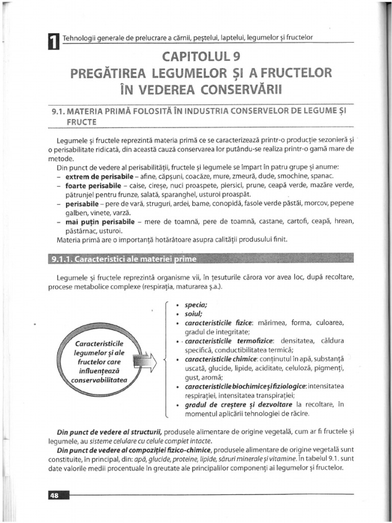 M10 - Legume Si Fructe - Teorie | PDF