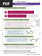 Tropisms - IGCSE Biology Revision Notes | PDF | Auxin | Root