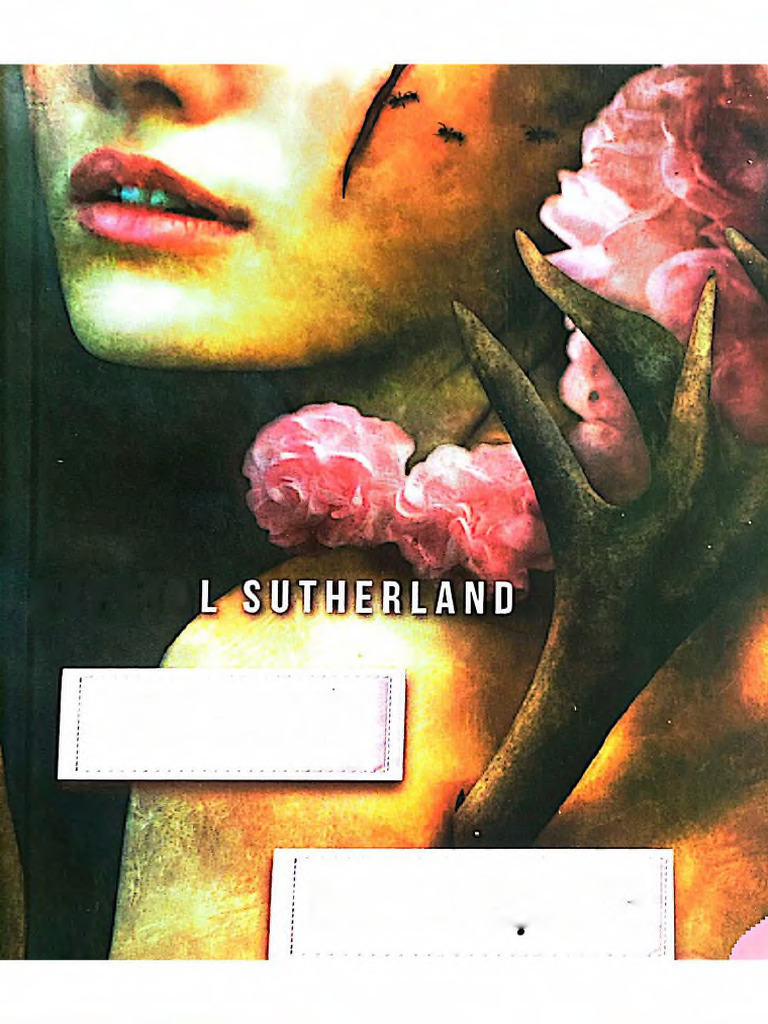 Hollow Kardeşler - Krystal Sutherland | PDF