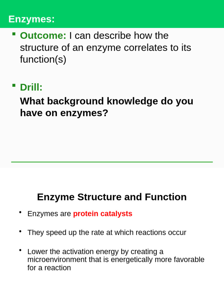 Day 2 - Enzyme Structure and Function | PDF | Enzyme | Active Site