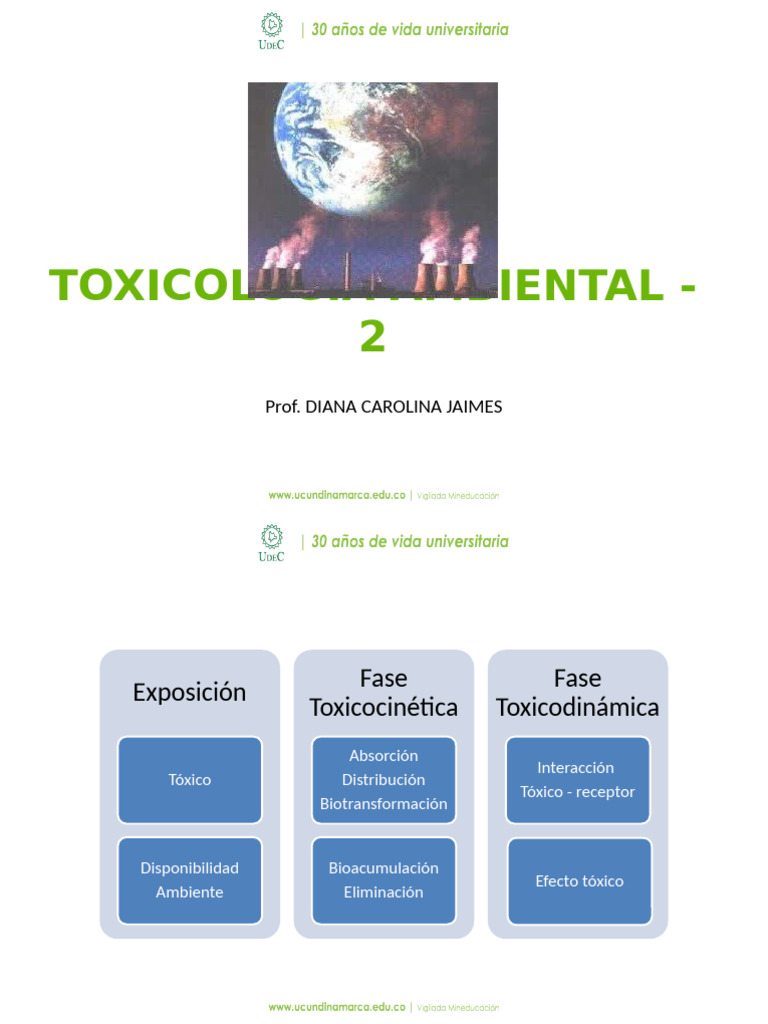 2. Toxicocinetica y Toxicodinamia | PDF | Toxicidad | Biotransformación