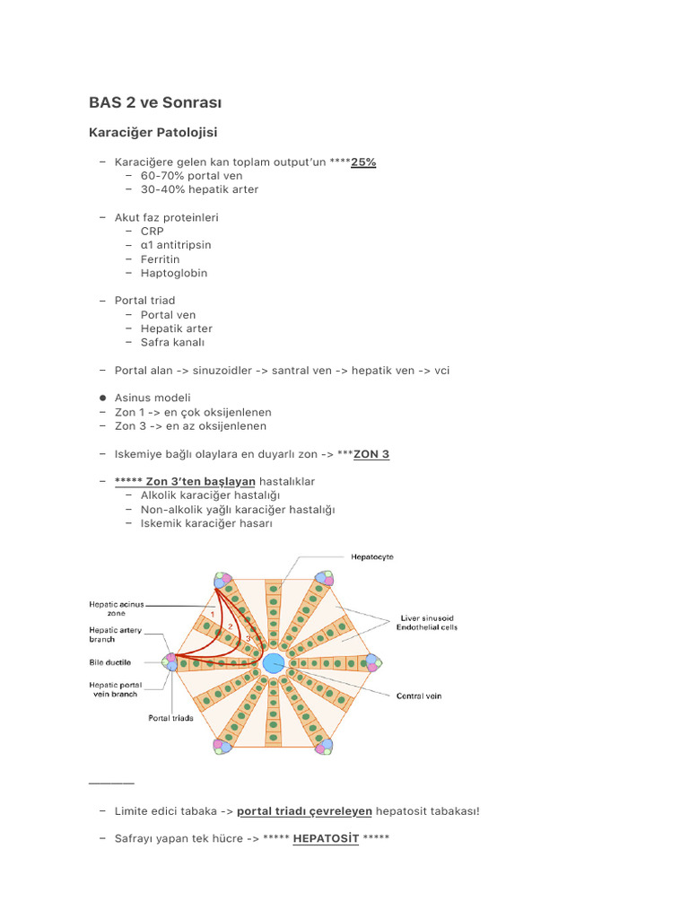 BAS 2 Ve Sonrası Notlar | PDF