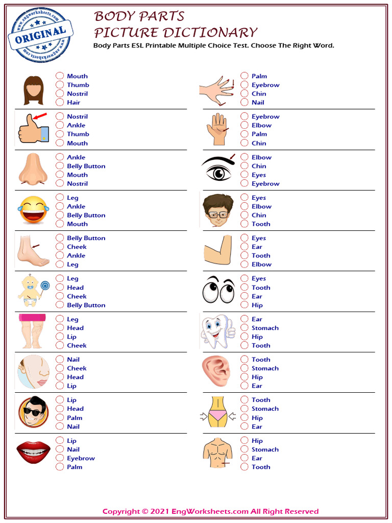 Body Parts Esl Printable Multiple Choice Test Choose The Right Word ...