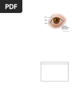 Lid Parallel Conjunctival Folds (LIPCOF) | PDF | Optics | Ophthalmology