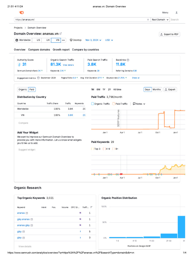 Ananas.vn SEO Domain Overview | PDF | Search Engine Optimization ...