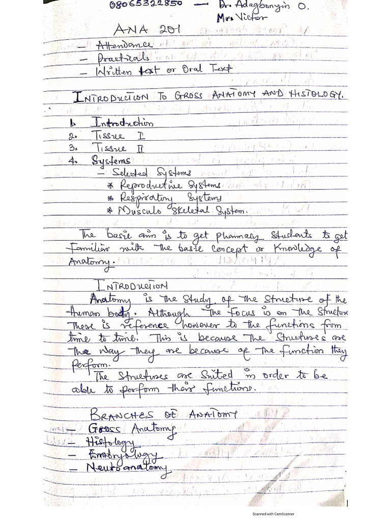 Anatomy Note | PDF