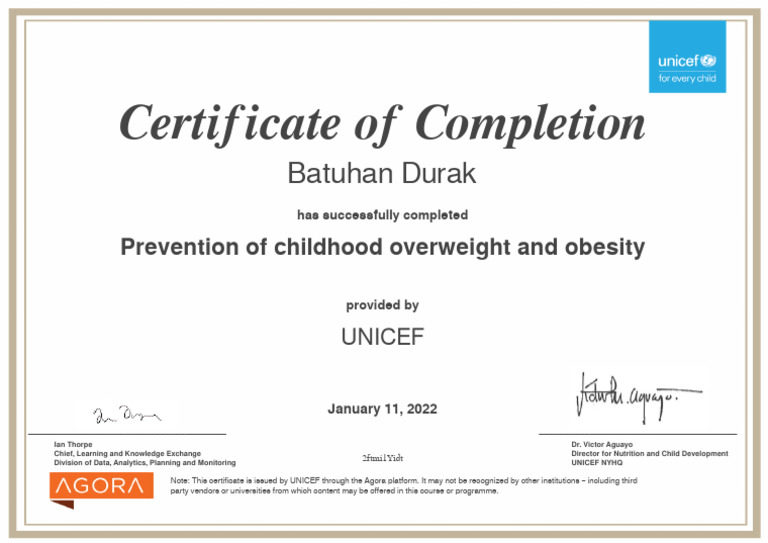 Overweight and obesity prevention_Certificate | PDF
