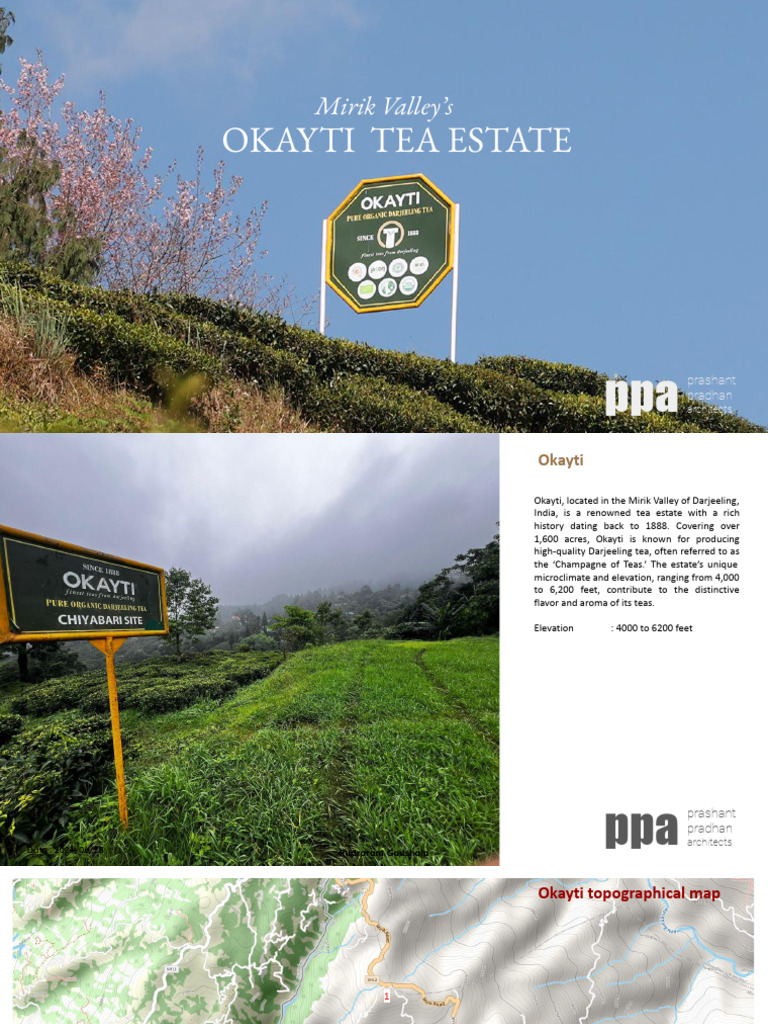 Final PPT - Okayti DPR | PDF | Tea