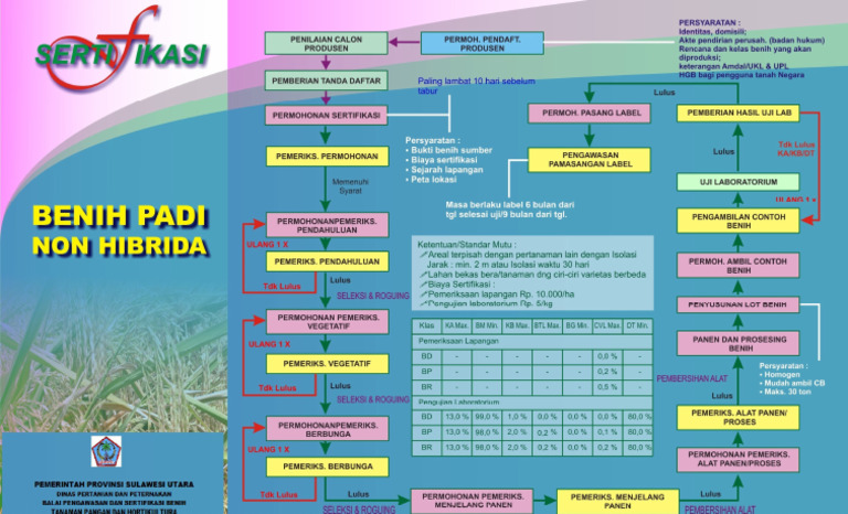 Brosur Padi Serti | PDF