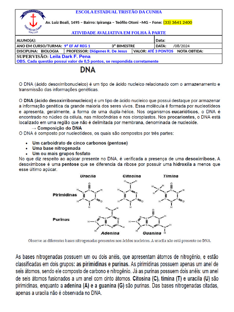 Atividade Avaliativa Sobre o Dna 9 Ano | PDF