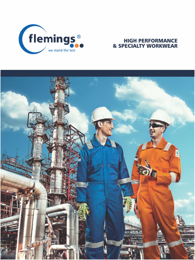 Brosure Profile Flemings | PDF