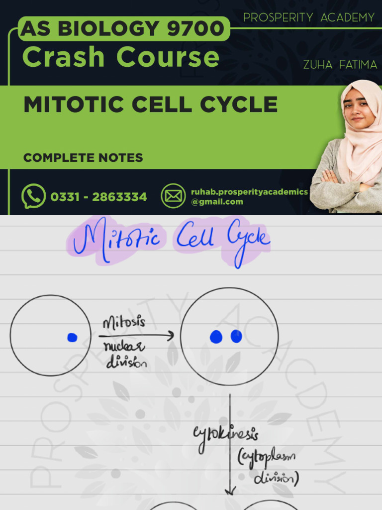Mitotic Cell Cycle | PDF