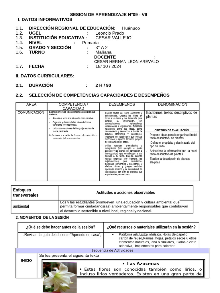 Sesion de Aprendizaje N 09 Vii Comunicación 18 de Octubre de 2024 | PDF | Comunicación | Lilium