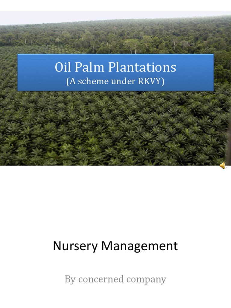 Oil Palm Growth Stages and Management | PDF | Plant Nursery | Arecaceae