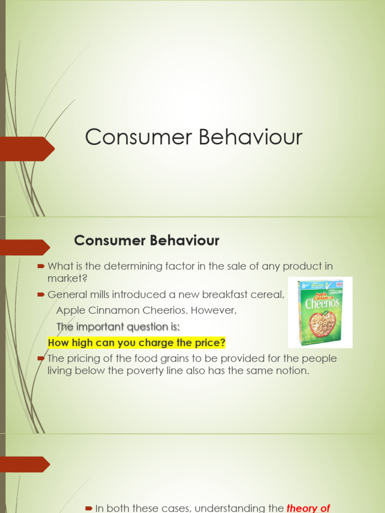 Consumer Behaviour | PDF | Utility | Demand