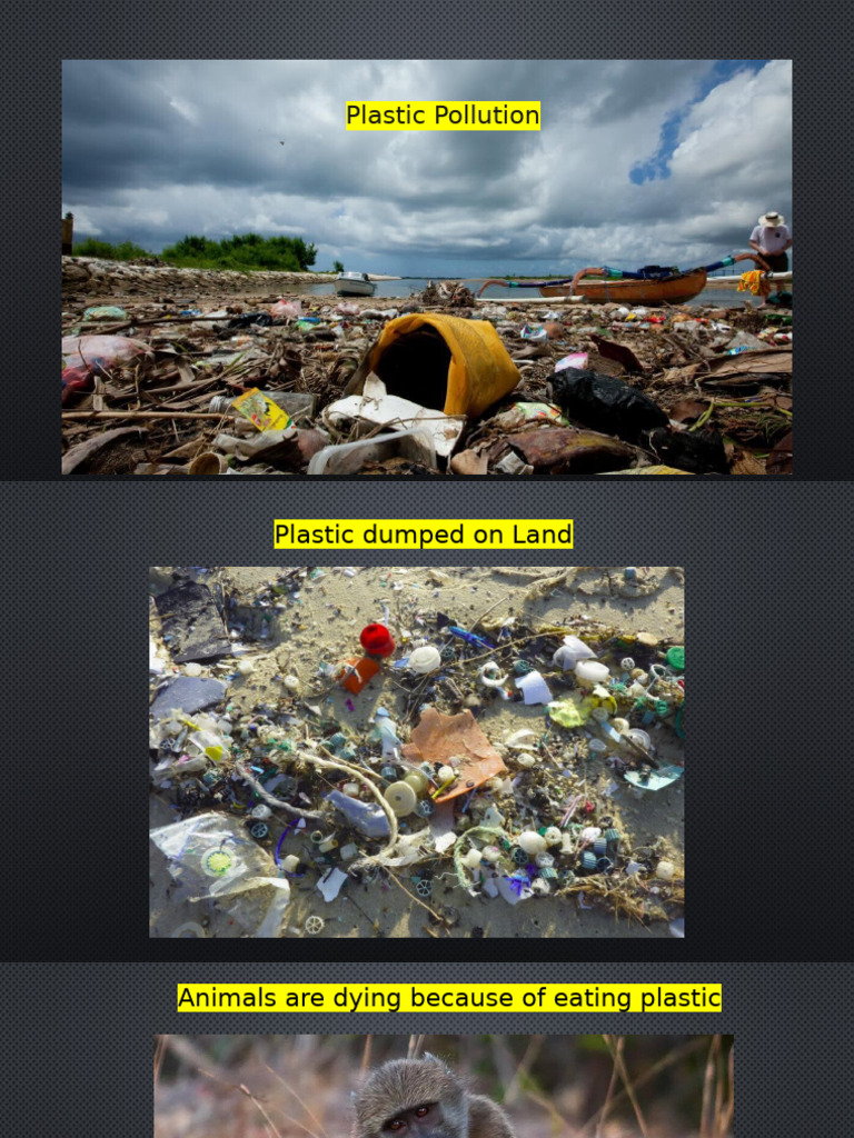Plastic Pollution | PDF