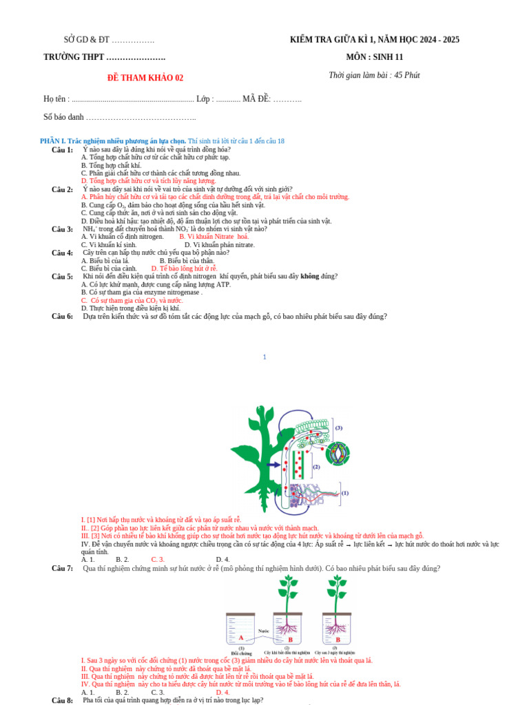 11__ĐỀ MINH HỌA 1__KT GK1__SH11__ĐỀ 02 | PDF